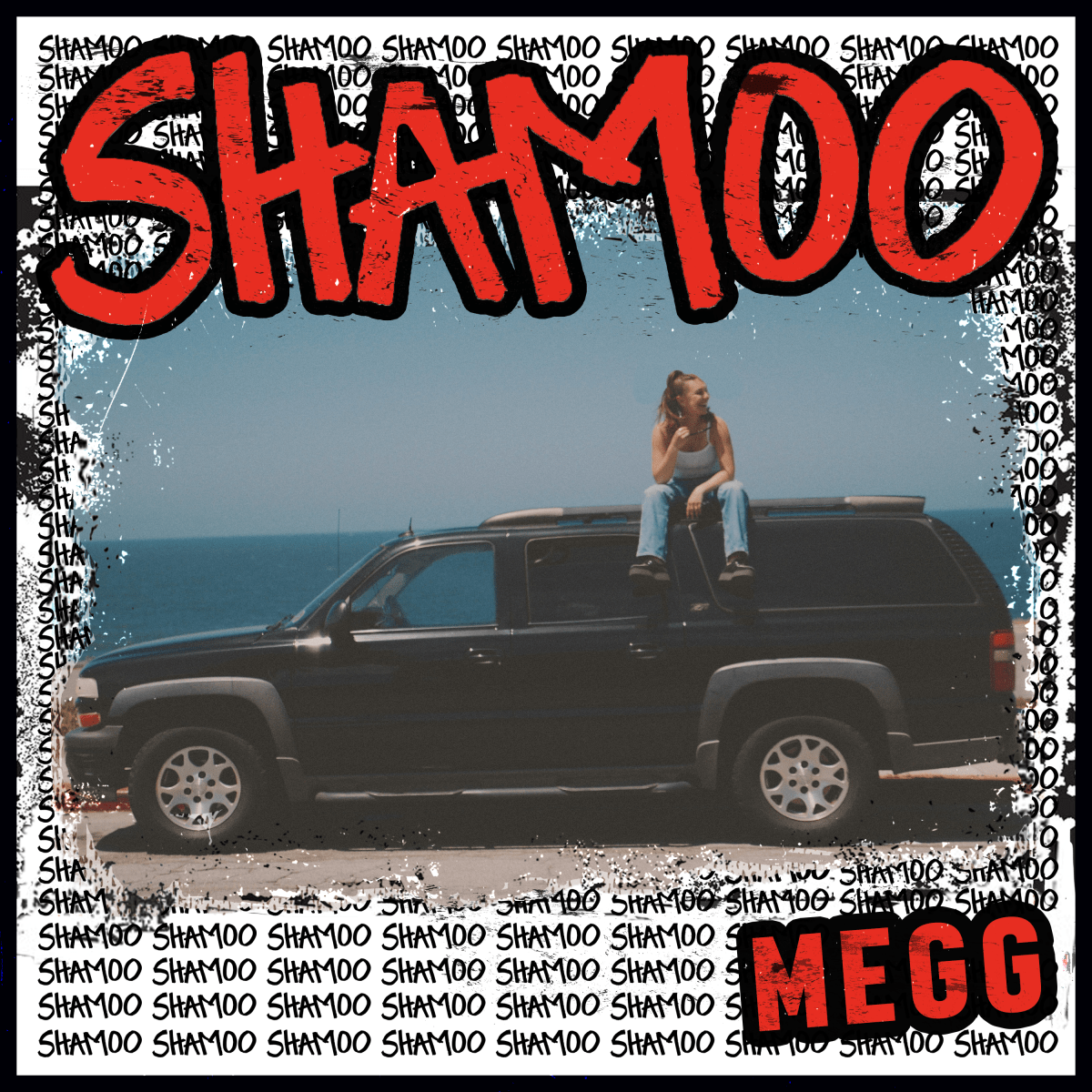 MEGG – Shamoo – MoggBlog