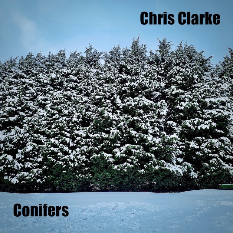 Chris Clarke – Conifers – MoggBlog